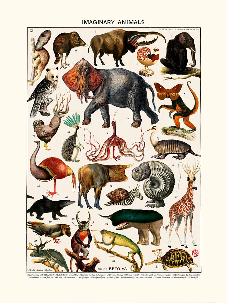 Animals inventory de Béto Val – Cartes-gravures.com