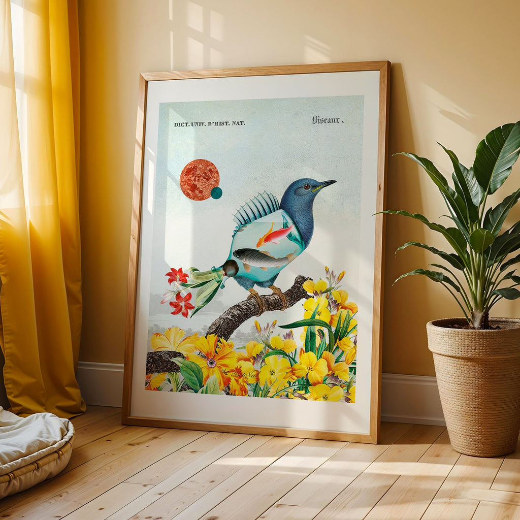 Transparent fish de Béto Val – Cartes-gravures.com