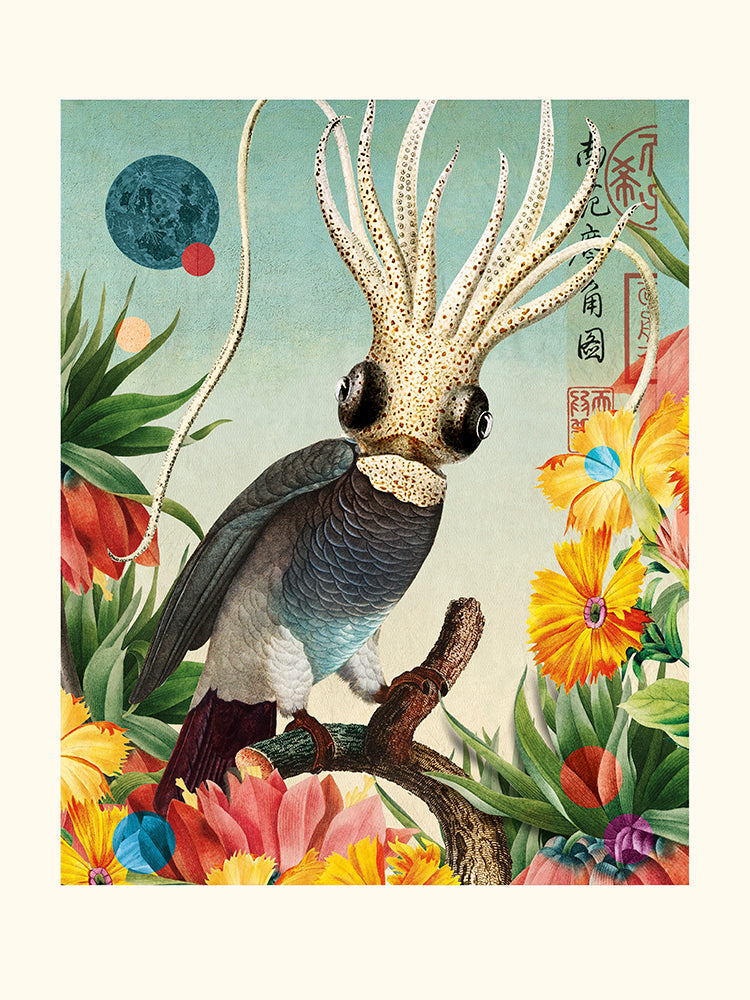 Béto Val - Bird – Cartes-gravures.com