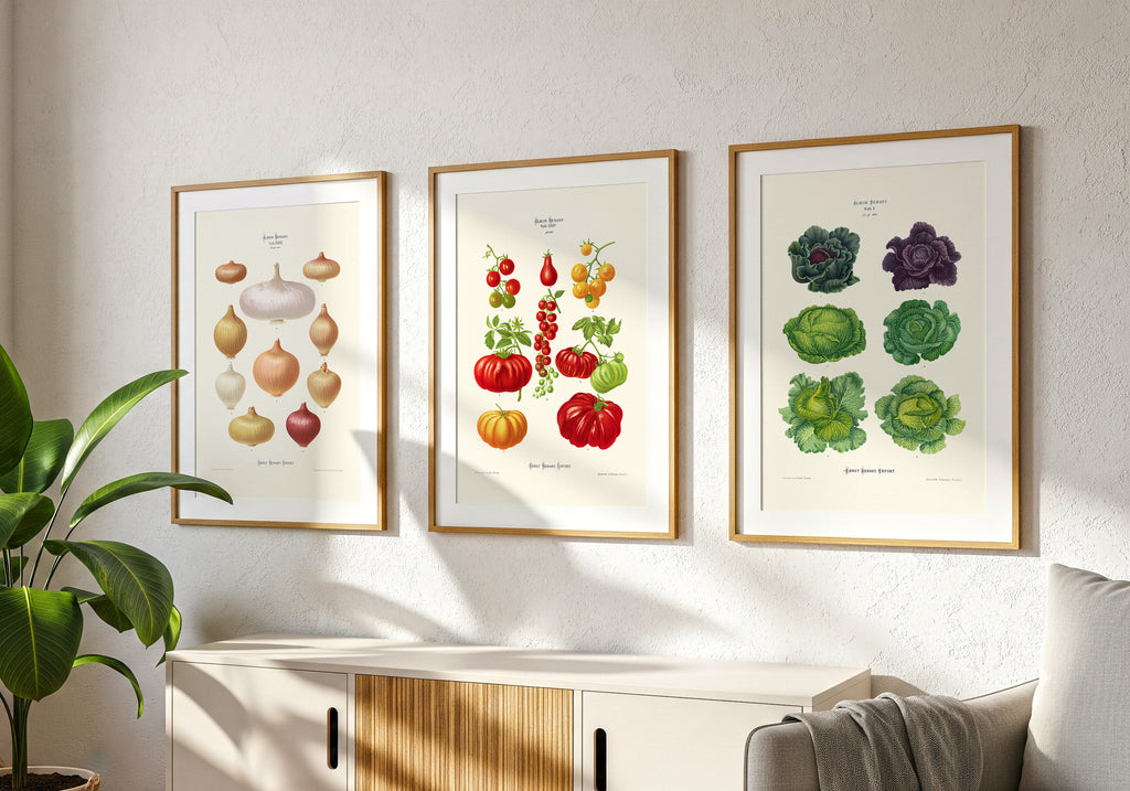 Tomates - Ernst Benary – Cartes-gravures.com
