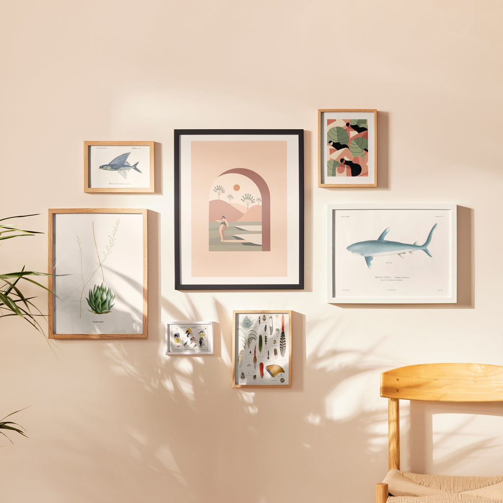 Squale Maou - The Shell – Cartes-gravures.com