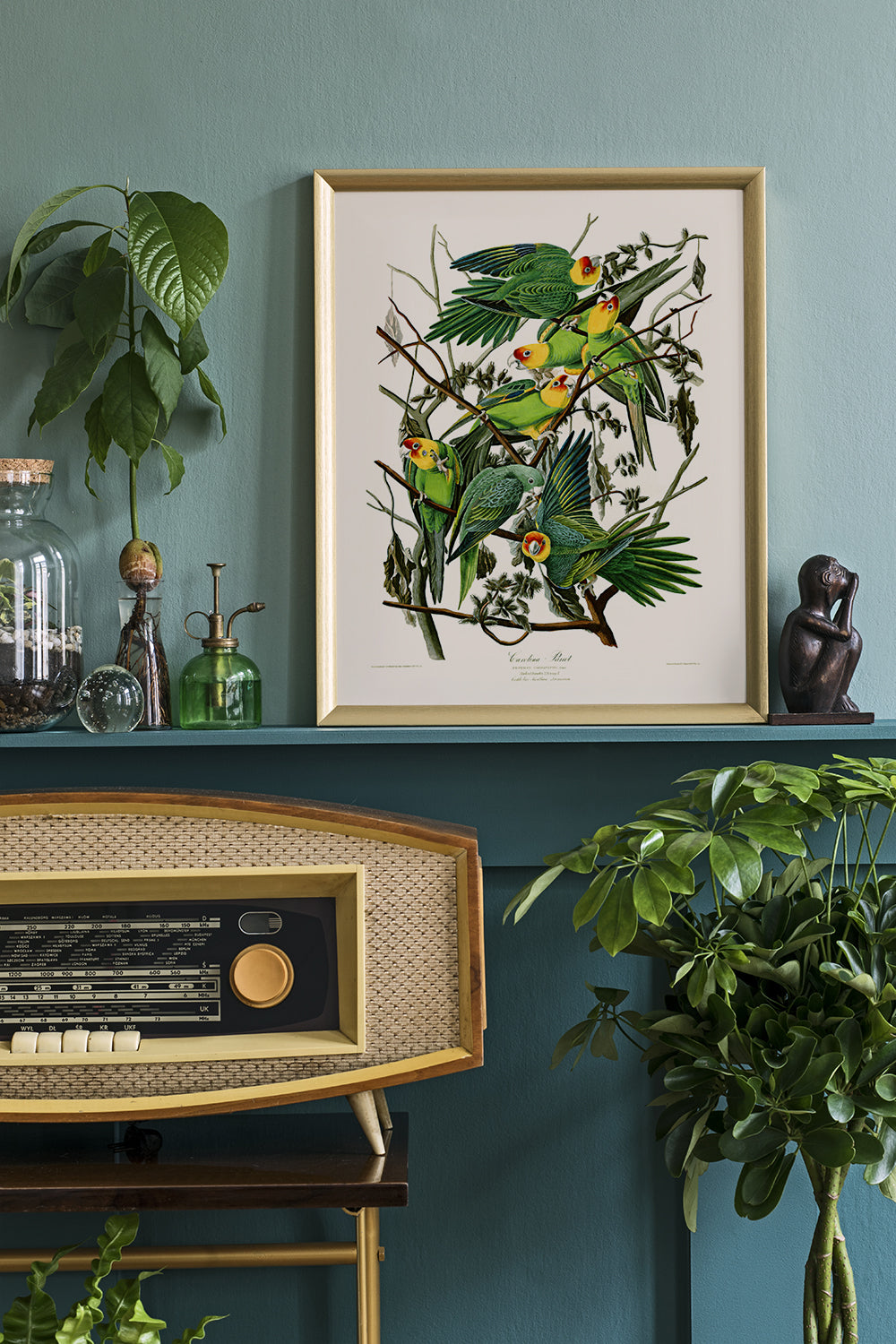 Carolina Parrot – Cartes-gravures.com